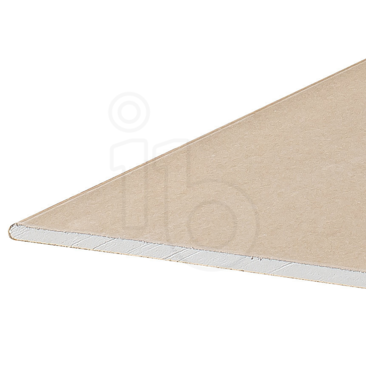 Gyproc Gyplat (P) 2000x600x9,5 mm | IB.NL